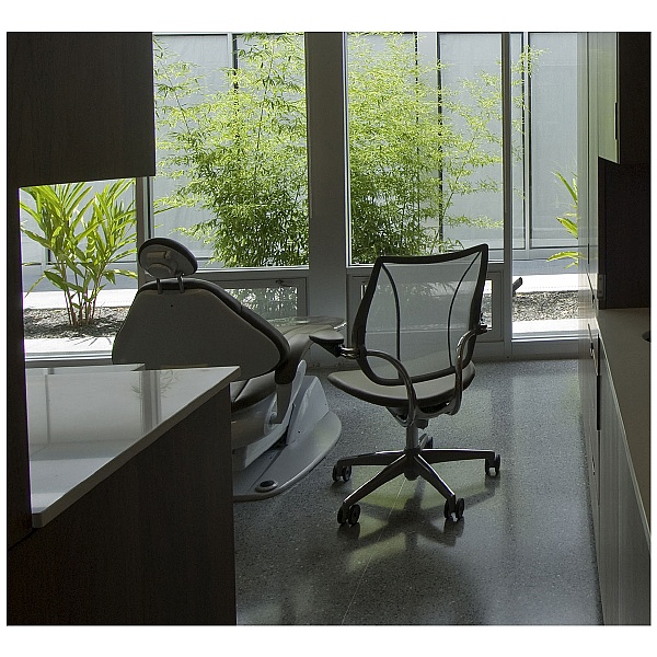 Humanscale Liberty Task Chair