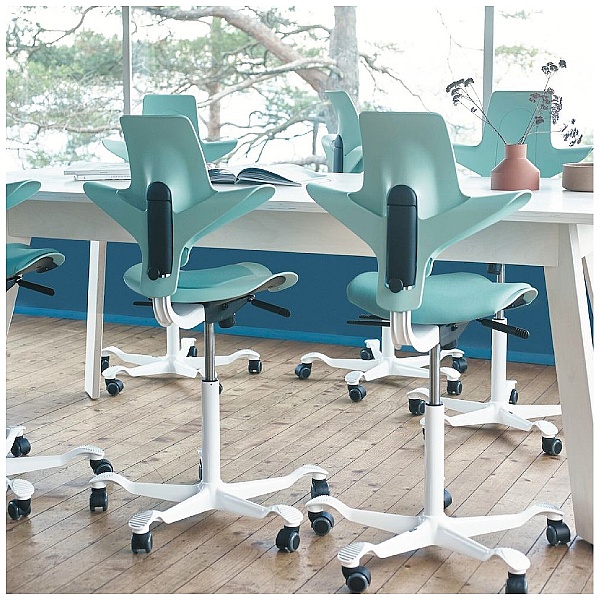 HAG Capisco Puls 8010 Chair Sea Green | Task Chair