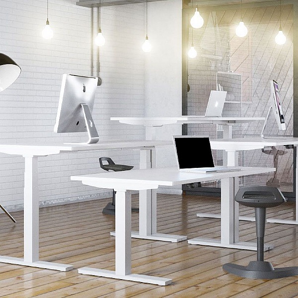 NEXT DAY InterAct Rectangular Standing Desks