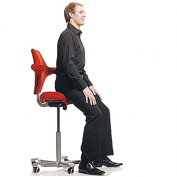 HAG Capisco 8106 Chair | Ergonomic Chair | Office Furniture Online