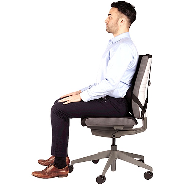 Fellowes Professional Series Ultimate Back Support