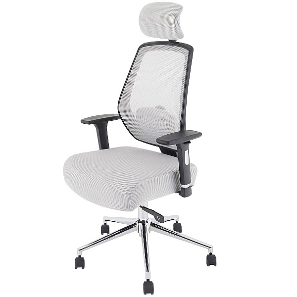 Ergo-Task Mesh Chair | Ergonomic Office Chairs | OFO
