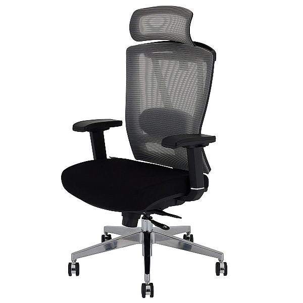 Posture Mesh Office Chair | Ergonomic Mesh Desk Chair